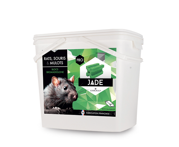 Jade Bloc - LODI MAROC