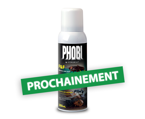 Phobi F&F - LODI MAROC